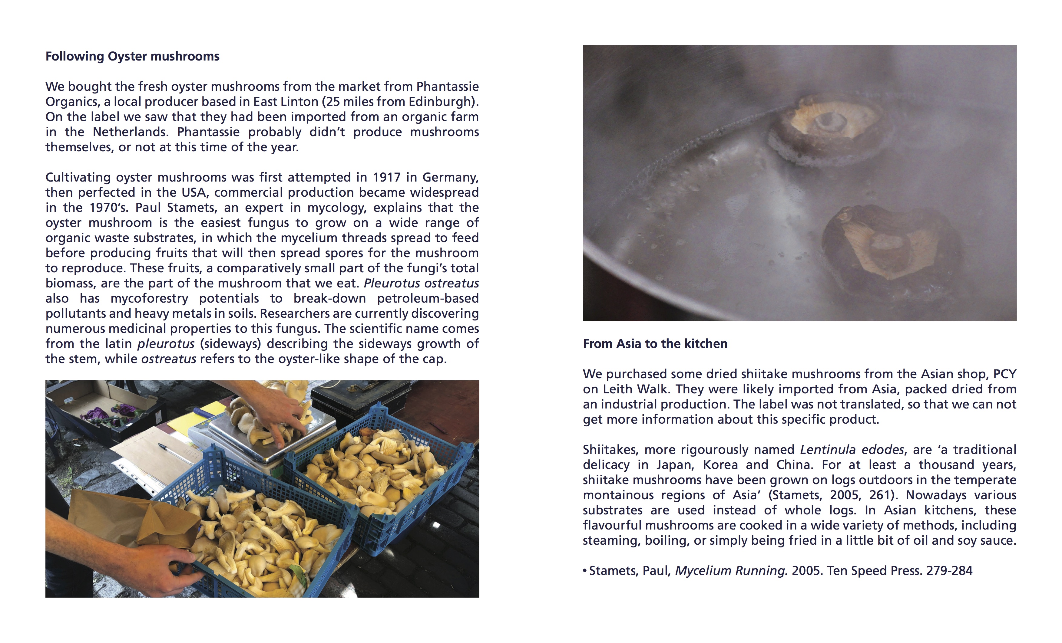 fungi in my food – experimental dinner – carole papion